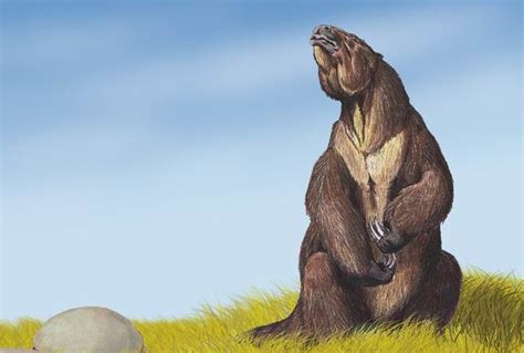 Megatherium Size