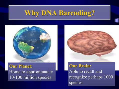 Dna Barcoding In Animals Pptx
