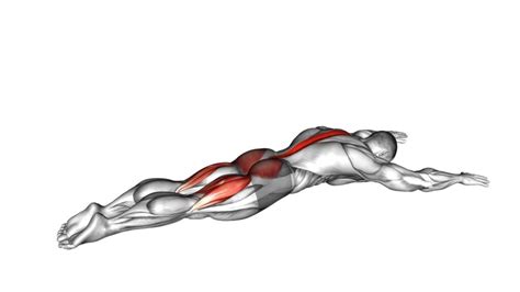 Superman Hold Ultimate Video Exercise Guide And Tips