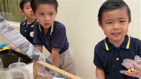 Babaiola Home Youtube