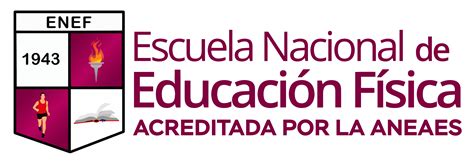 Todos Los Cursos Enef