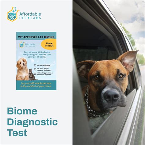 Easy Home Kit Affordable Pet Labs Biome Diagnostic Test For Dogs Dog