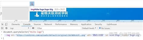 技术分享 web自动化测试 执行 JavaScript 脚本 知乎