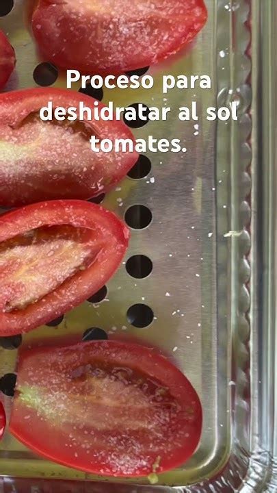 Proceso Para Deshidratar Tomates Al Sol Youtube