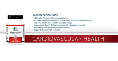 Maintain Healthy Cholesterolconners Clinic Alternative Cancer Coaching