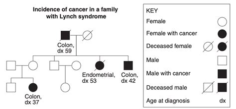 Past Hsc Questions On Mutation Module 6 Year 12 Biology Lunchtimes
