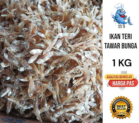 Ikan Teri Tawar Bunga 1kg Lazada Indonesia