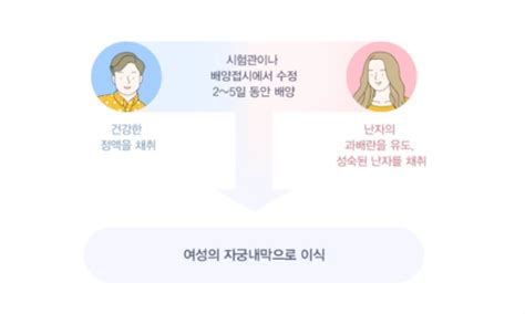 시험관시술 과정 전부 알려드립니다 35년 난임병원 네이버 블로그