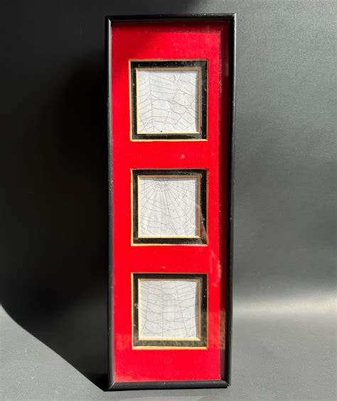 Jonnie Taylor Jonnies Vulvarium • Instagram Photos And Videos