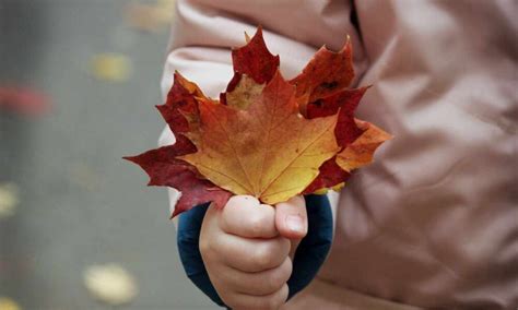 International Experience Canada Program Cin