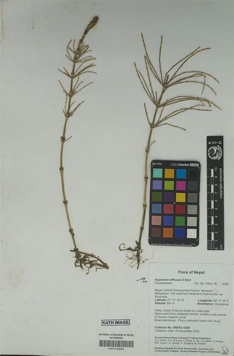 Plant Database System Herbarium And Plant Laboratories Kath