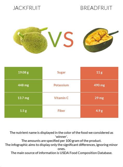 Jackfruit Vs Breadfruit — In Depth Nutrition Comparison
