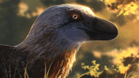 A History Of Giant Raptors In The Fossil Record Maxs Blogo Saurus