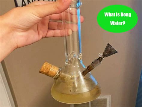 Is Bong Water Good For Plants Or Anything Else Lookah
