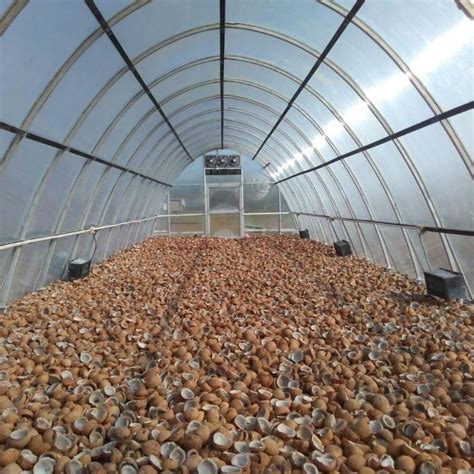 Fish Solar Dehydrator At Olivia Quinn Blog