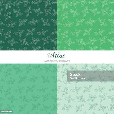 손으로 그린 민트 원활한 패턴 벡터의 세트는 떠난다 손으로 그린된 매운 나물 디자인에 대 한 요리 재료를 낙서 벽지 차 화장품 패키지 디자인에 대 한 완벽 한 건강관리와