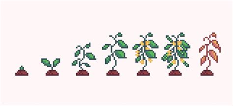 Cucumber Plant Growth Progress Pixel Art Sapling Germination Stages 8