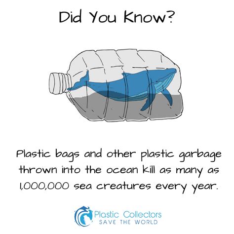 Essay On Plastic Pollution In English Plastic Pollution Essay