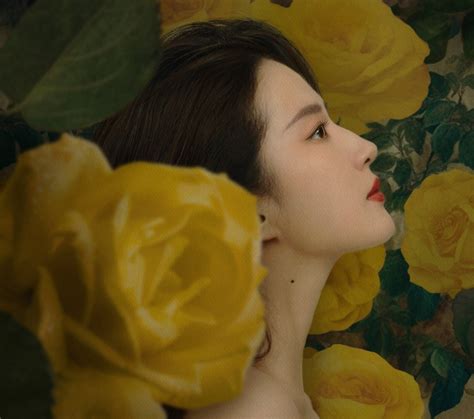 Nhan Sắc Tuyệt Trần Của Lưu Diệc Phi Trong Câu Chuyện Hoa Hồng