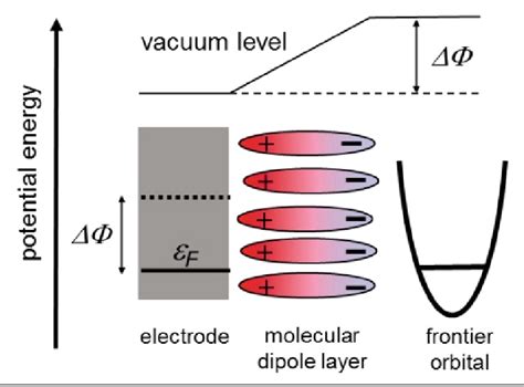 schematic drawing of energy level alignment between the fermi level ε f