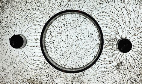 Electrostatic Field Lines And Faraday Photograph By Ted Kinsman Fine