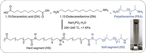 Polyetheramine‐type Semi‐biobased Long‐chain Polyamide 1210 Elastomer