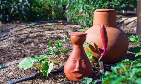 Ollas Irrigate Your Garden With Ancient Tech Epic Gardening