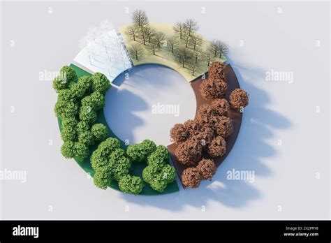 Pie Chart For Ecological Sustainable Eco Friendly Business Concept