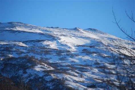 Dsc 0181 Robin Barefield