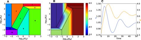 Predicted Phenotype Characteristics In Design Space A Visualization Of Download Scientific