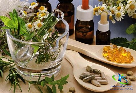 هورمون های جنسی زنانه کدامند ؟ گیاهان حاوی هورمون زنانه سلامت وب طب