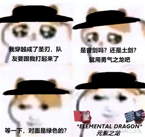 啊，不行了，这猫猫meme图太可爱了 知乎