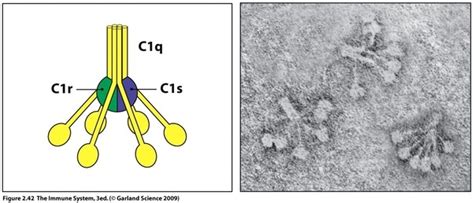 Science And Technology 3d Modelingprinting Hacking