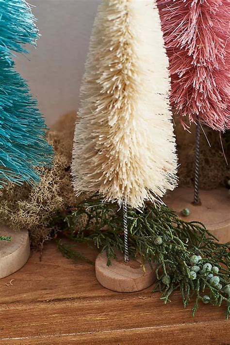 Brush Trees Set Of 6 Anthropologie