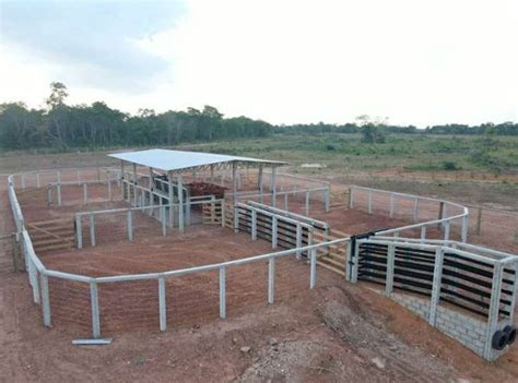 Curral Com Brete Individual Ou Coletivo Qual Escolher