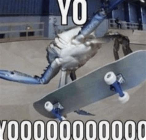 Yoooooo R Hardimages