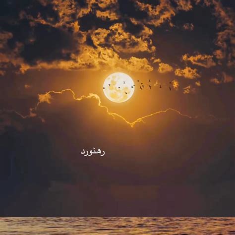 ʆɱɘɱɘstʌŋ On Reels Facebook