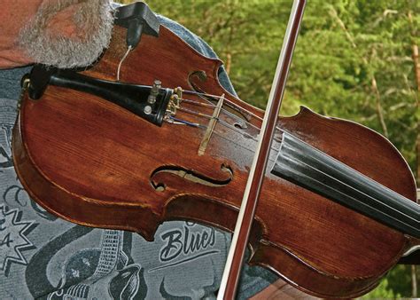 Fiddle State Musical Instrument State Symbols Usa