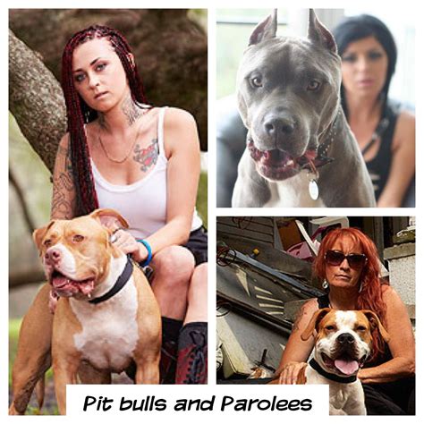 70 Pitbulls And Parolees Ideas Pitbulls Pit Bulls And Parolees
