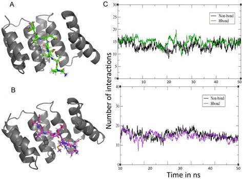 A The Tpr Domain With Bound Octapeptide From Hsp70 Green B The Tpr Download Scientific