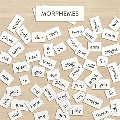 Types And Meaning Of Morphemes Owlcation