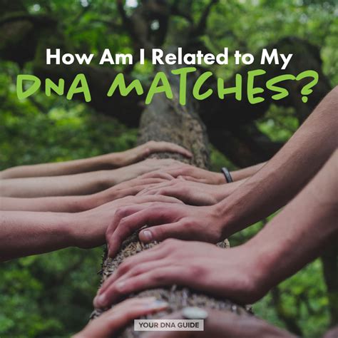 How Am I Related To My DNA Matches Your DNA Guide Diahan Southard
