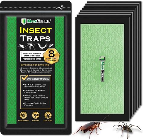 Maxguard Extra Large Insect Traps 8 Traps Non Toxic Extra Sticky Pre Baited Glue Board Trap