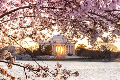 April Events And Things To Do In Northern Virginia