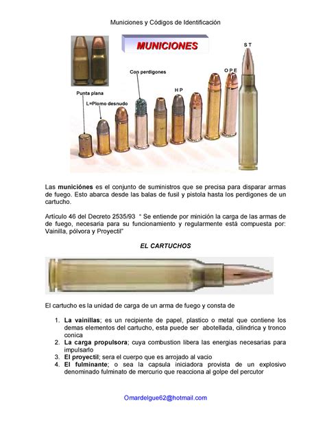 1 Municiones Y Códigos De Identificación Punta Plana Con Perdigones