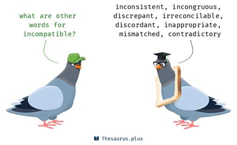 Incompatible Synonyms And Incompatible Antonyms Similar And Opposite