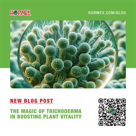 The Magic Of Trichoderma In Boosting Plant Vitality Hormex