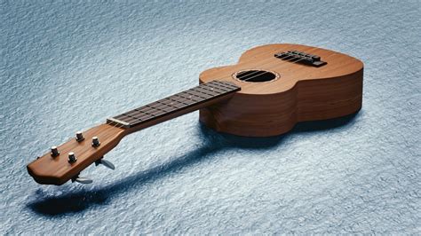 En İyi Ukulele Enİyisinedir