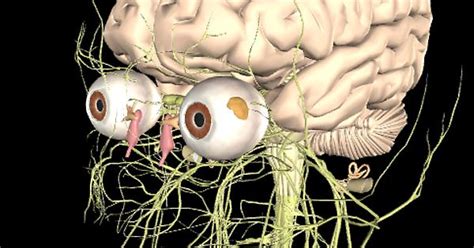 The Nerve Of Everyone Meme On Imgur