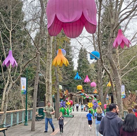 Photos Gilroy Gardens Opens For 2023 With Floral Themed Event